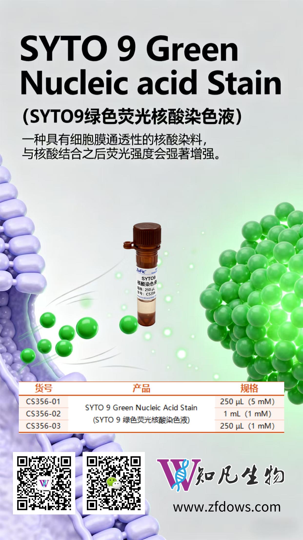 Same 的想法: SYTO 9 Green Nucleic Acid Stain（SYTO9 绿色荧光核酸染色液） | SYTO9 ...