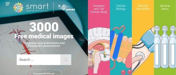 FrontScience科研 的想法: Servier Medical Art素材库（简称SMART）包括大约3000张与医学、解剖学和生物学 ...