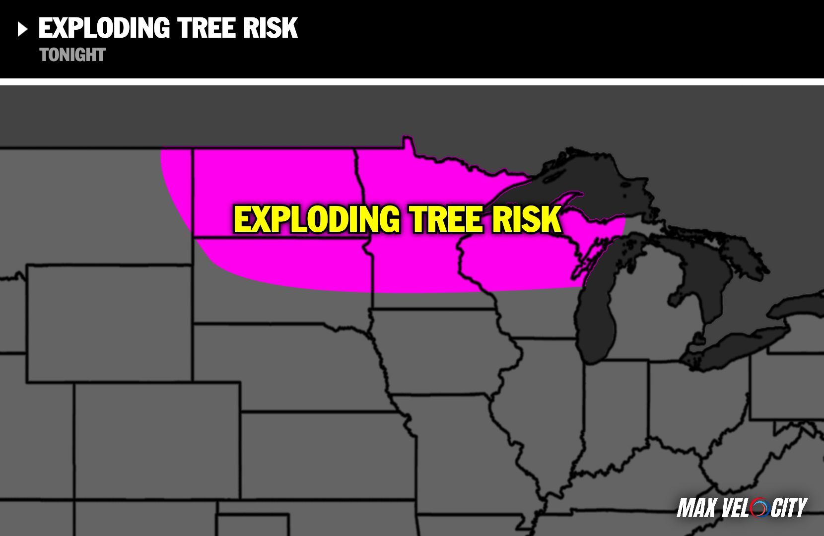 Anon 的想法: 本夜北美自爆树 | 当气温降速过快降幅过大时，树液和树内水分迅速结冰体积增大，可能会导致树木发生自爆… - 知乎
