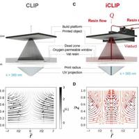 kkkkkk 的想法: iCLIP技术 | iCLIP技术（individual-nucleotide resolution UV ...