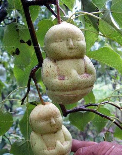 生活小当家 的想法: 顺丰快递服务最好 | #快递哪家好 - 知乎