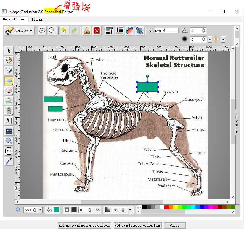 3款你值得拥有的Anki插件 - 知乎