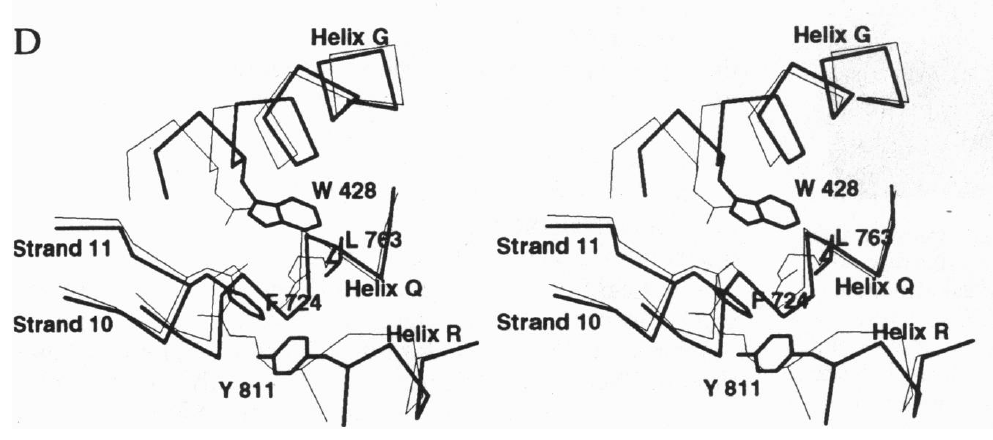 taq酶为什么会耐高温？ - 知乎