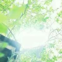 彻底解决Matlab中mex-setup未找到支持的编译器或SDK - 知乎