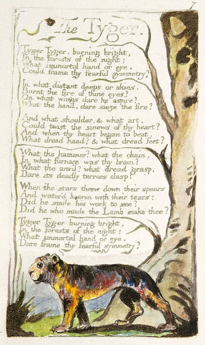 William Blake 的《The Tyger》中的「tyger」到底是一个什么意象？ - 知乎
