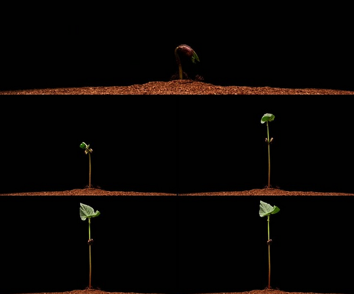 如何拍摄时间跨度很长的延时摄影？ - 知乎