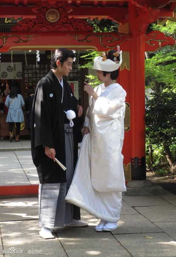 如何评价渡边杏？ - 知乎