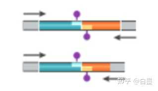 3C，4C，5C以及HiC测序技术都有些什么不同？ - 知乎