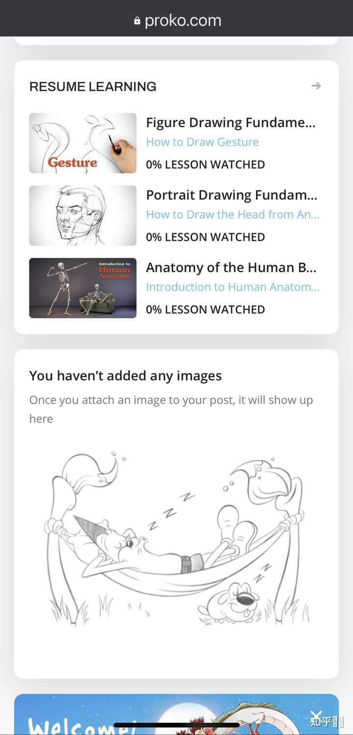proko的正版课程有人买过吗？想问几个问题? - 知乎