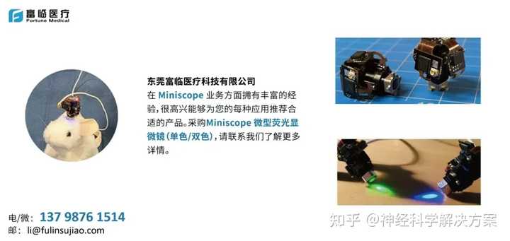 怎样使用MATLAB分析双光子钙成像suite2p的结果 ？ - 知乎