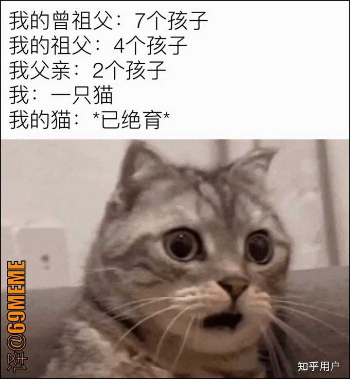 你看过的最有意思的meme、梗图有哪些? - 知乎