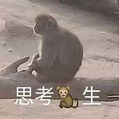 请问大家有没有猴子的表情包？ - 知乎