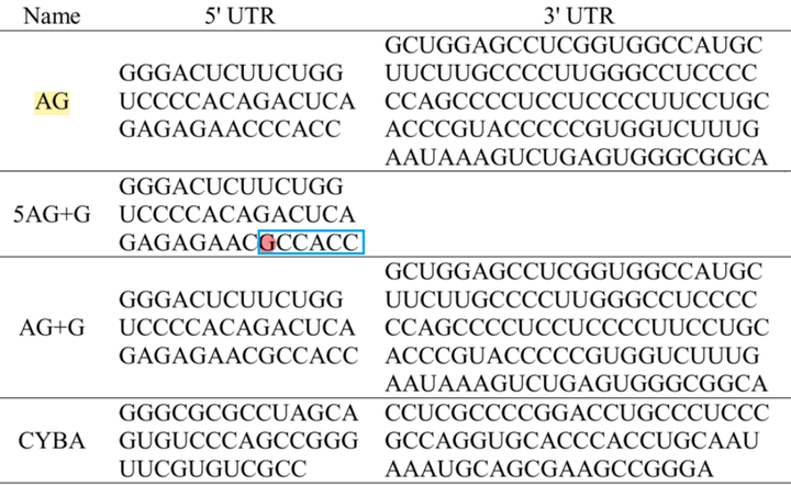 怎么研究UTR序列突变的调控机理？ - 知乎