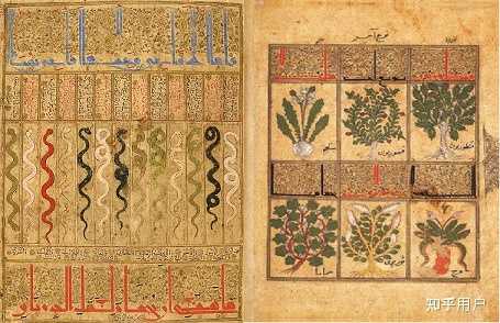 欧洲中世纪有哪些药草和药方？ - 知乎