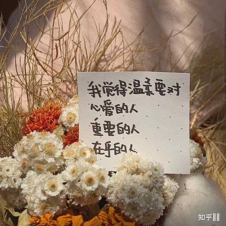 有哪些温暖的文案? 知乎