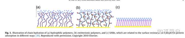 SPR技术原理是什么？ - 知乎