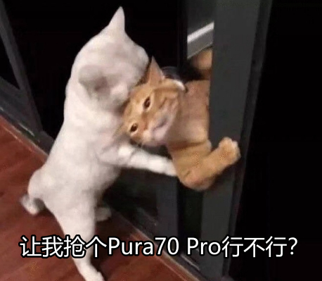 华为Pura70标准版值得入手么？ - 知乎