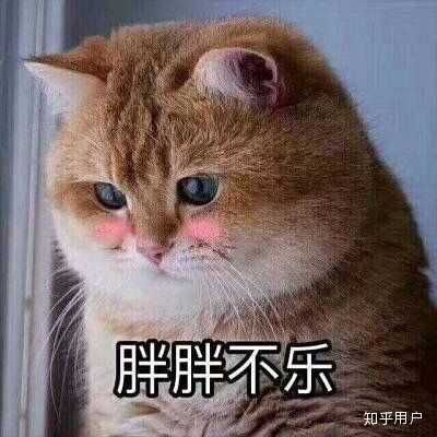 你见过最暖心的表情包是什么？ - 知乎