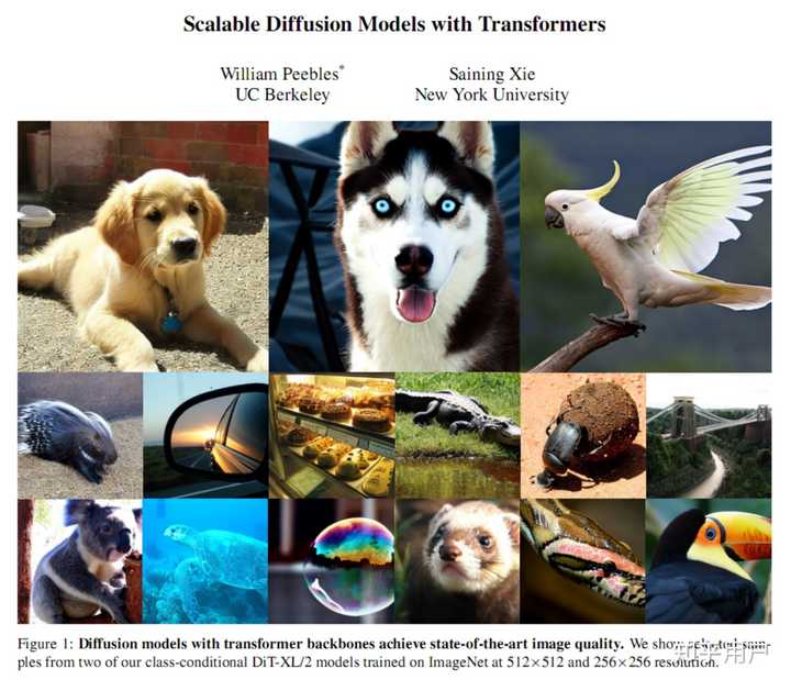 从技术原理上分析，为什么OpenAI发布的sora模型会碾压pika和runway? - 知乎