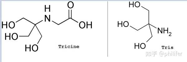 请问Tricine-sds-page电泳方法？ - 知乎