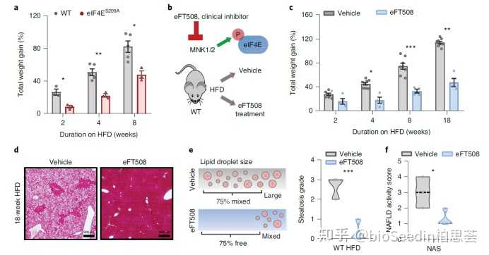 韩春雨团队在《Nature Biotech》上发表的 NgAgo 基因编辑技术是什么？有何突破？ - 知乎
