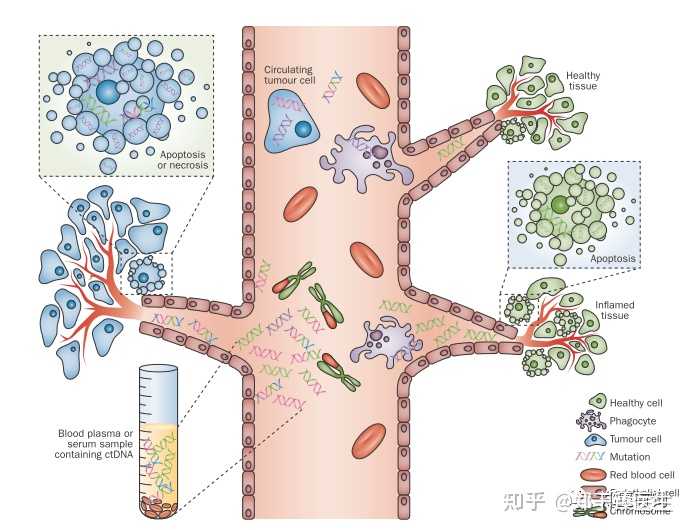 目前的MRD检测技术进展，对于早期肺癌的诊疗有多大意义？ - 知乎