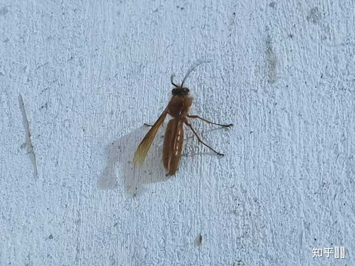 住在山里是种什么样的体验？ - 知乎