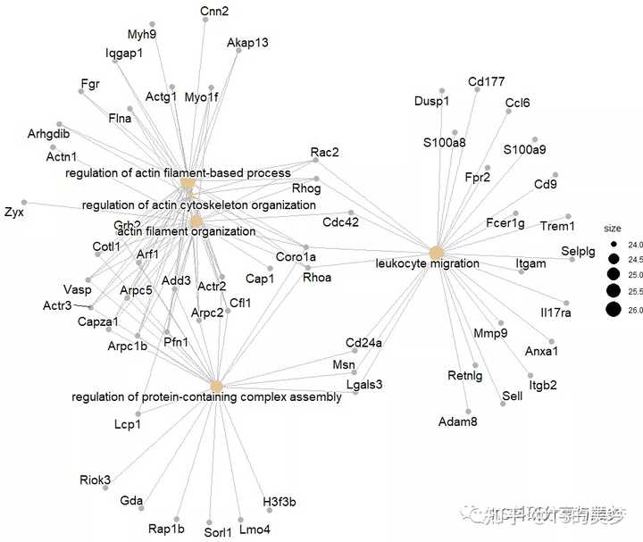 KEGG数据分析？ - 知乎