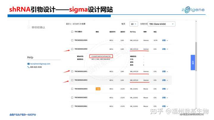 shRNA设计原则是什么？ - 知乎
