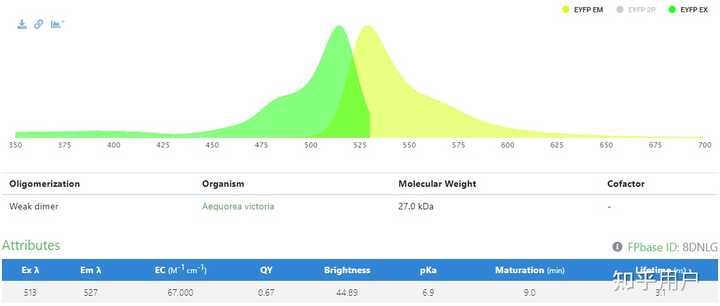 EYFP为什么发绿光？ - 知乎