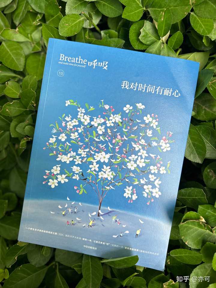 有哪些好看的 MOOK （杂志书）值得推荐？ - 知乎