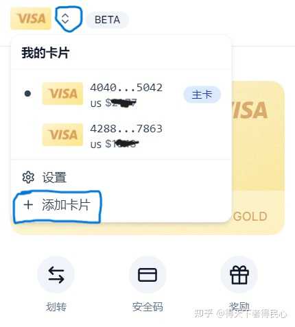 哪家虚拟visa卡最靠谱？ - 知乎