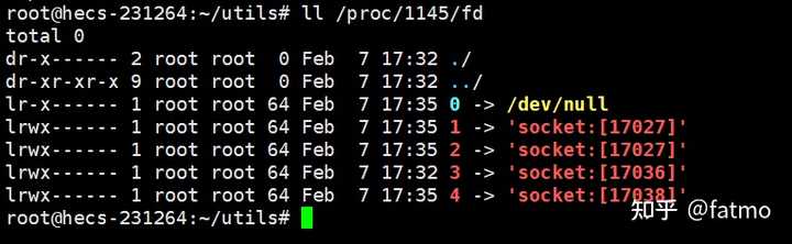 linux80和443端口被占用，netstat、ss、fuser、lsof都查不到进程号，怎么办? - 知乎