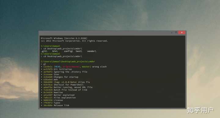 windows 下哪个 terminal 最好用？ - 知乎