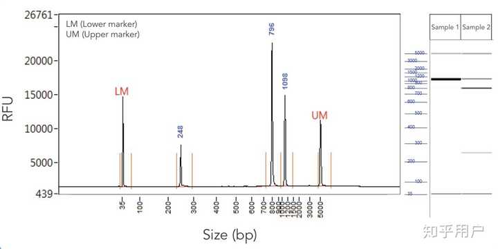 IDT是一家怎样的公司？ - 知乎