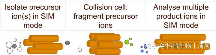 GC/MS和GC/MS/MS的区别是什么？ - 知乎