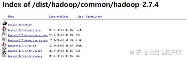 如何安装Hadoop技术来应用Hadoop呢？ - 知乎