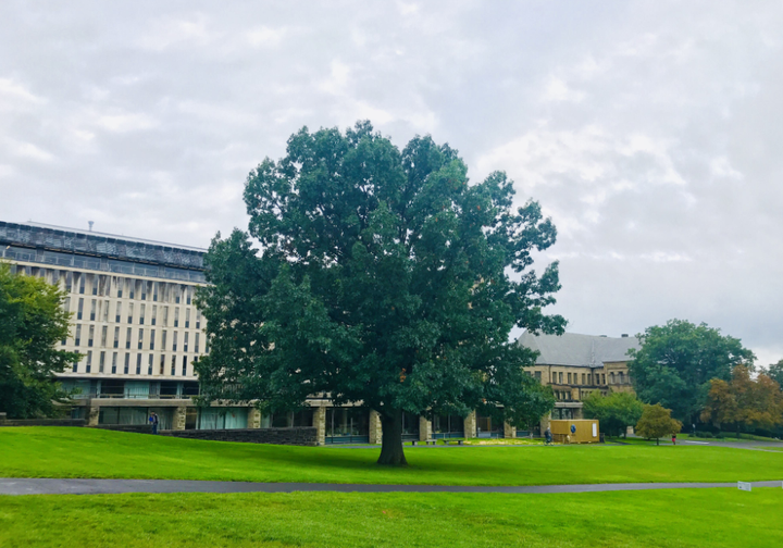 美研求比较Cornell Tech ECE和UCSD ECE? - 知乎