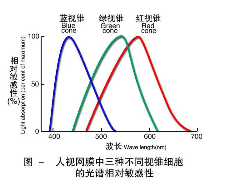 华为P30 Pro使用的超光谱Quad Bayer RYYB CMOS相比传统RGB排列有何异同呢？ - 知乎