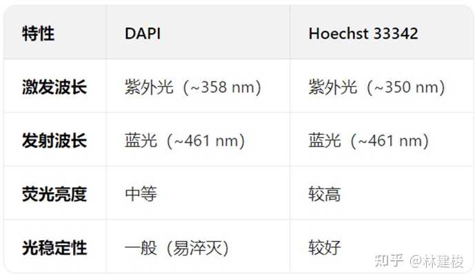 DAPI染料和Hoechst染料染色的区别？ - 知乎