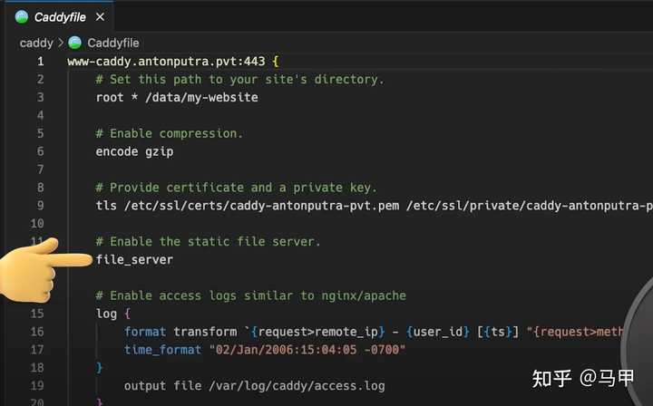 Caddy 和 Nginx 比有哪些优点和缺点？ - 知乎