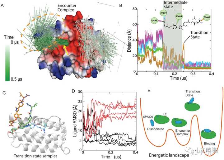 DeepMind 发布新一代 AlphaFold，覆盖范围、准确率提升，应用潜力又有了哪些拓展？ - 知乎