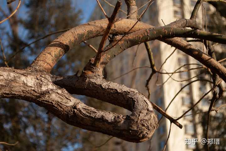 尼康D60在2021年是否还能发挥余热？ - 知乎