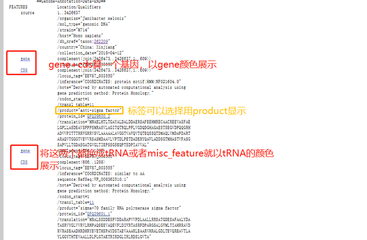 Easyfig怎么使用? - 知乎