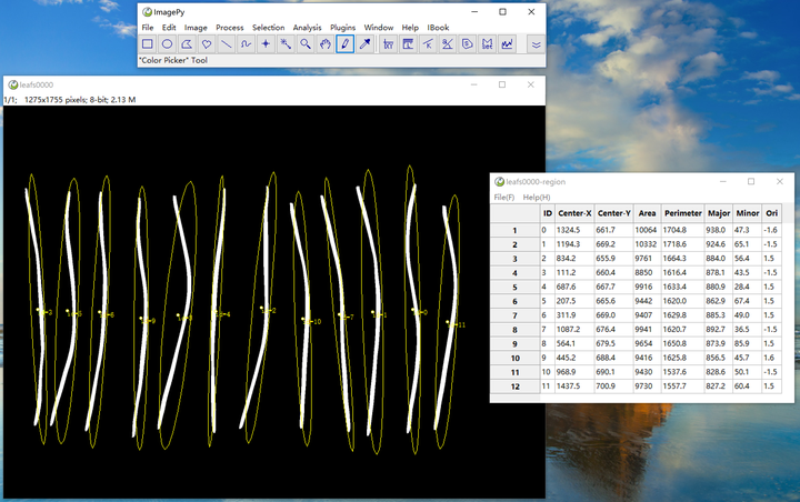 imageJ测量长度，显示结果是如何换算出来的，还有结果的每列代表什么？ - 知乎