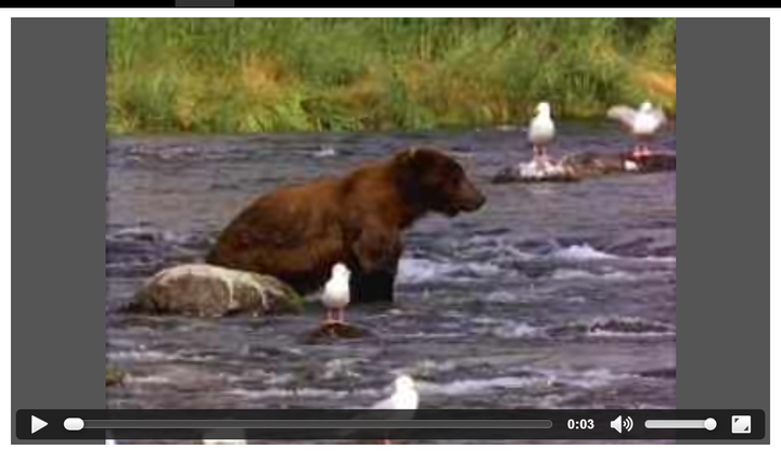 如何评价洛谷OJ？ - 知乎