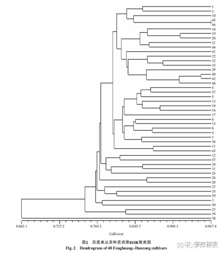 关于ISSR遗传多样，用Popgene软件处理数据数据时，格式是怎么样的，因为格式一直在出错？ - 知乎