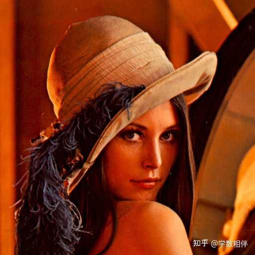 为什么Lena的那张图会成为数字图像处理的标准图？ - 知乎