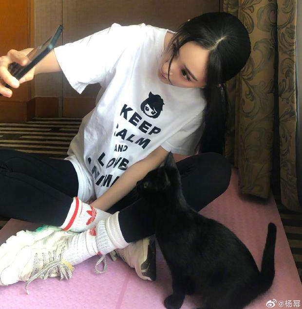 为什么《哪吒2》里面申小豹明显是花豹，而他的父亲和大哥都是黑豹? - 知乎