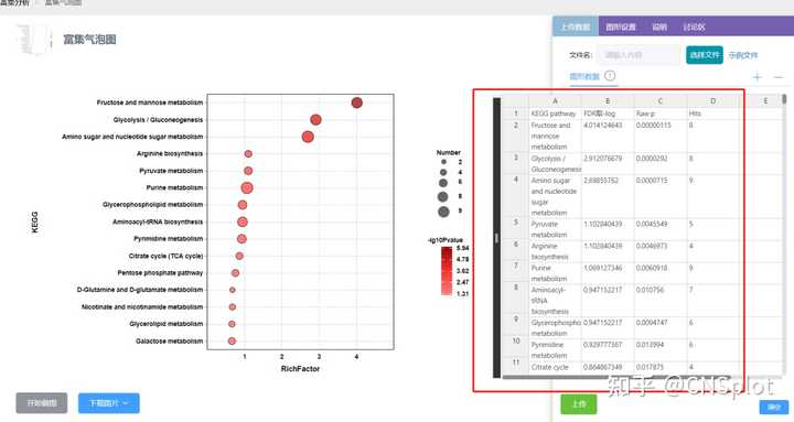 TBtools可以做kegg富集气泡图嘛？ - 知乎